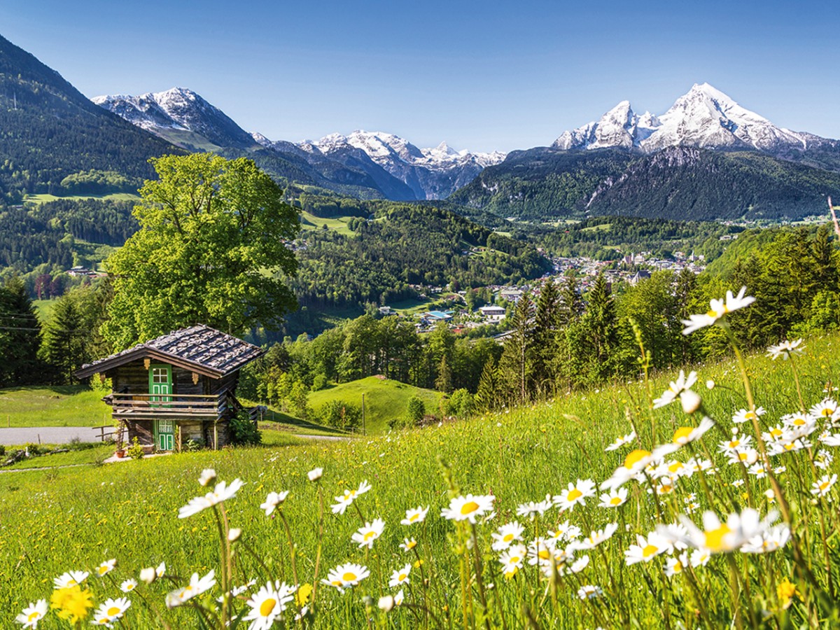 Austrian Alpine Club UK - Viarti